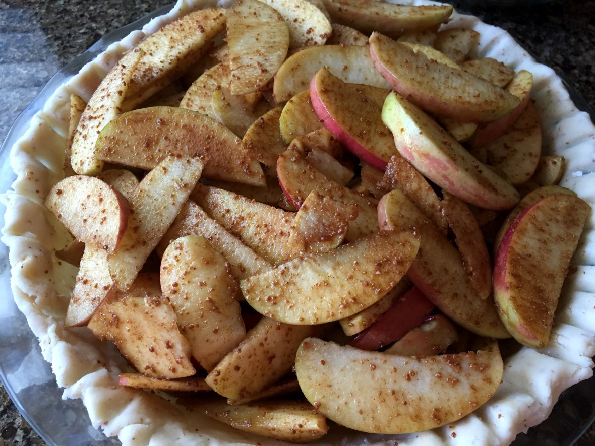 Glorious Pie & A Thanksgiving Feast – gluten free zen